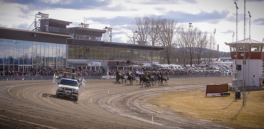 V75 med E3-finaler 19 augusti